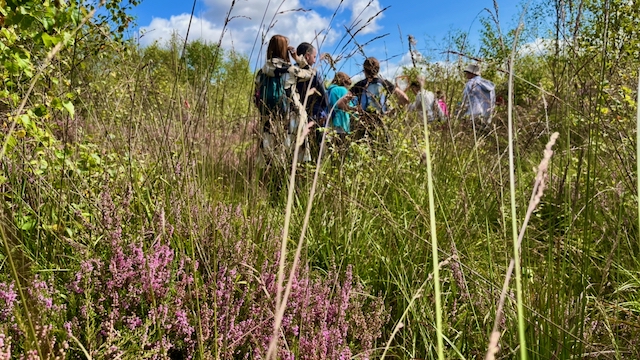 Volunteer – Drummin Bog Project